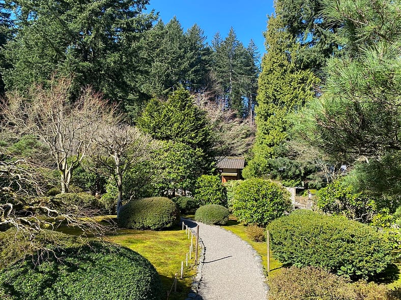 Signs of Spring 2021 – Portland Japanese Garden